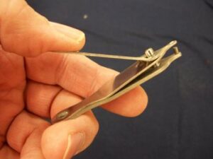 Easy Chick Toe Web Punch | Cackle Hatchery®