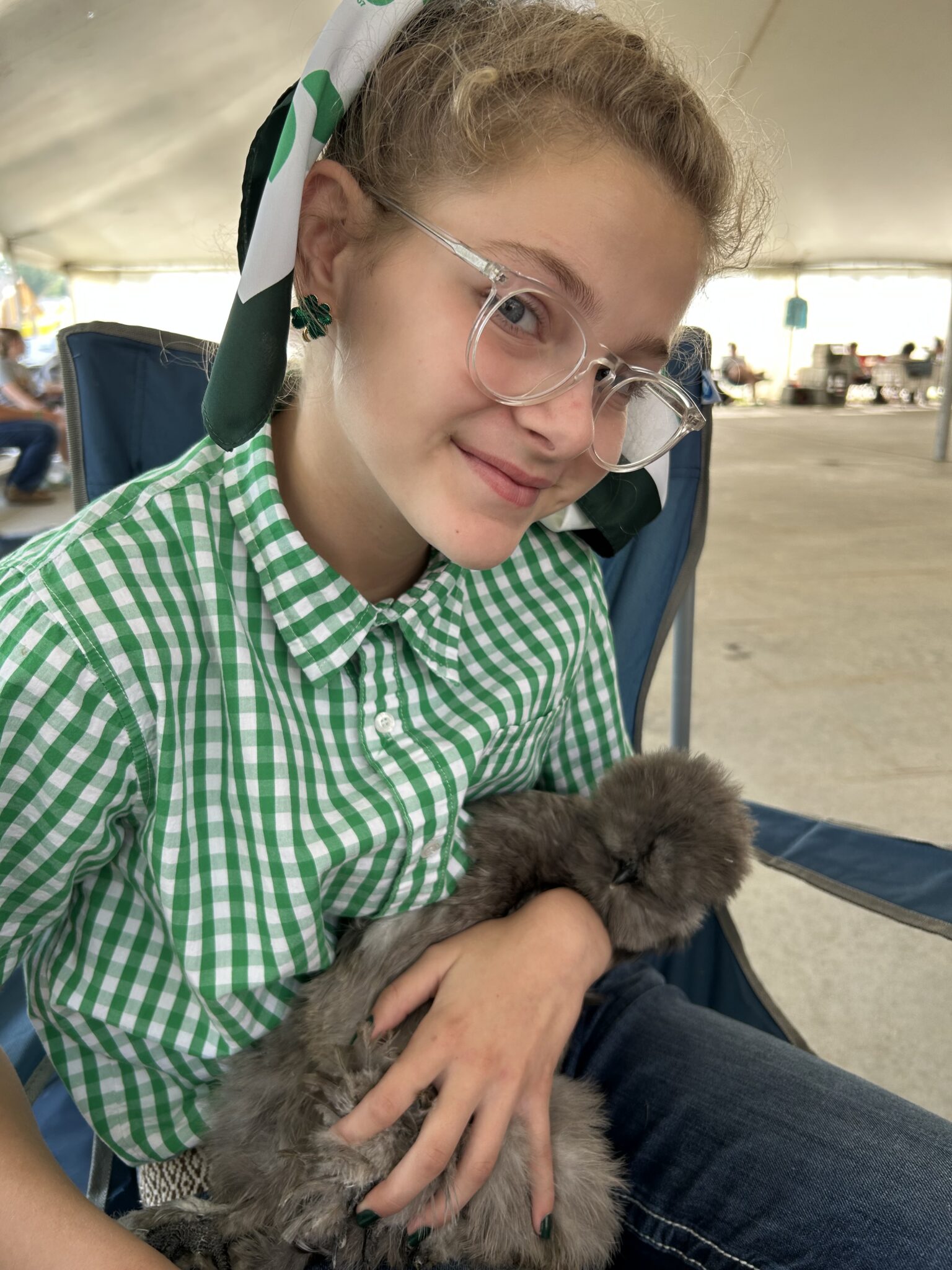 Blue Silkie Bantam - Baby Chicks for Sale | Cackle Hatchery®