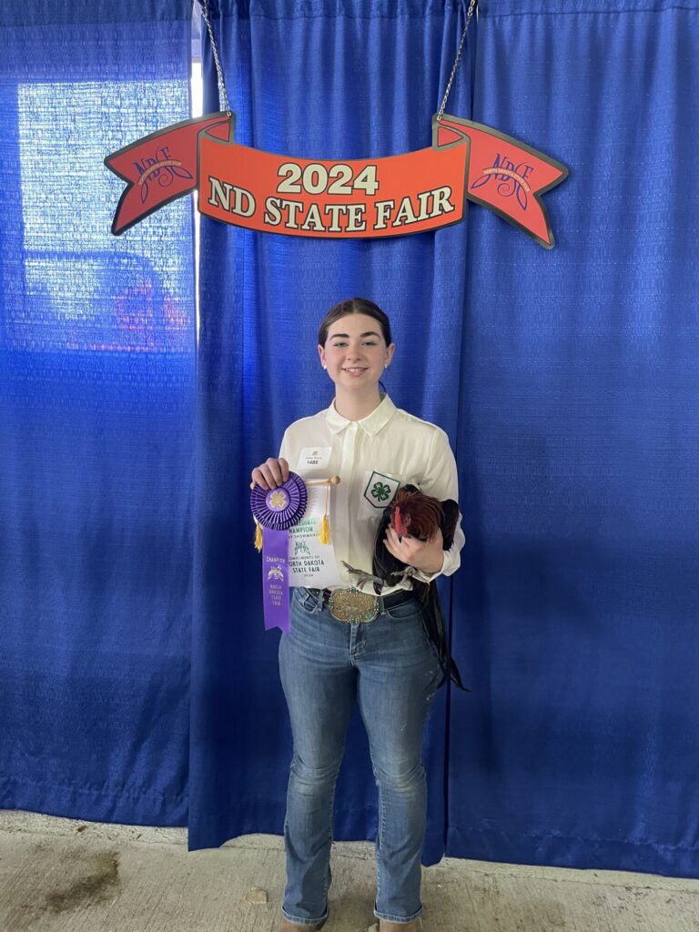 Black Breasted Red Phoenix Chicks for Sale | Cackle Hatchery®