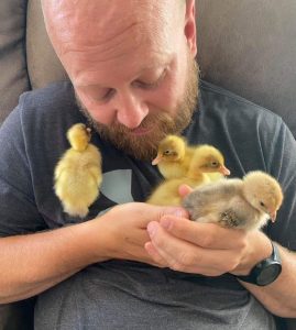 Fawn and White Runner Ducks - Baby Ducklings | Cackle Hatchery®