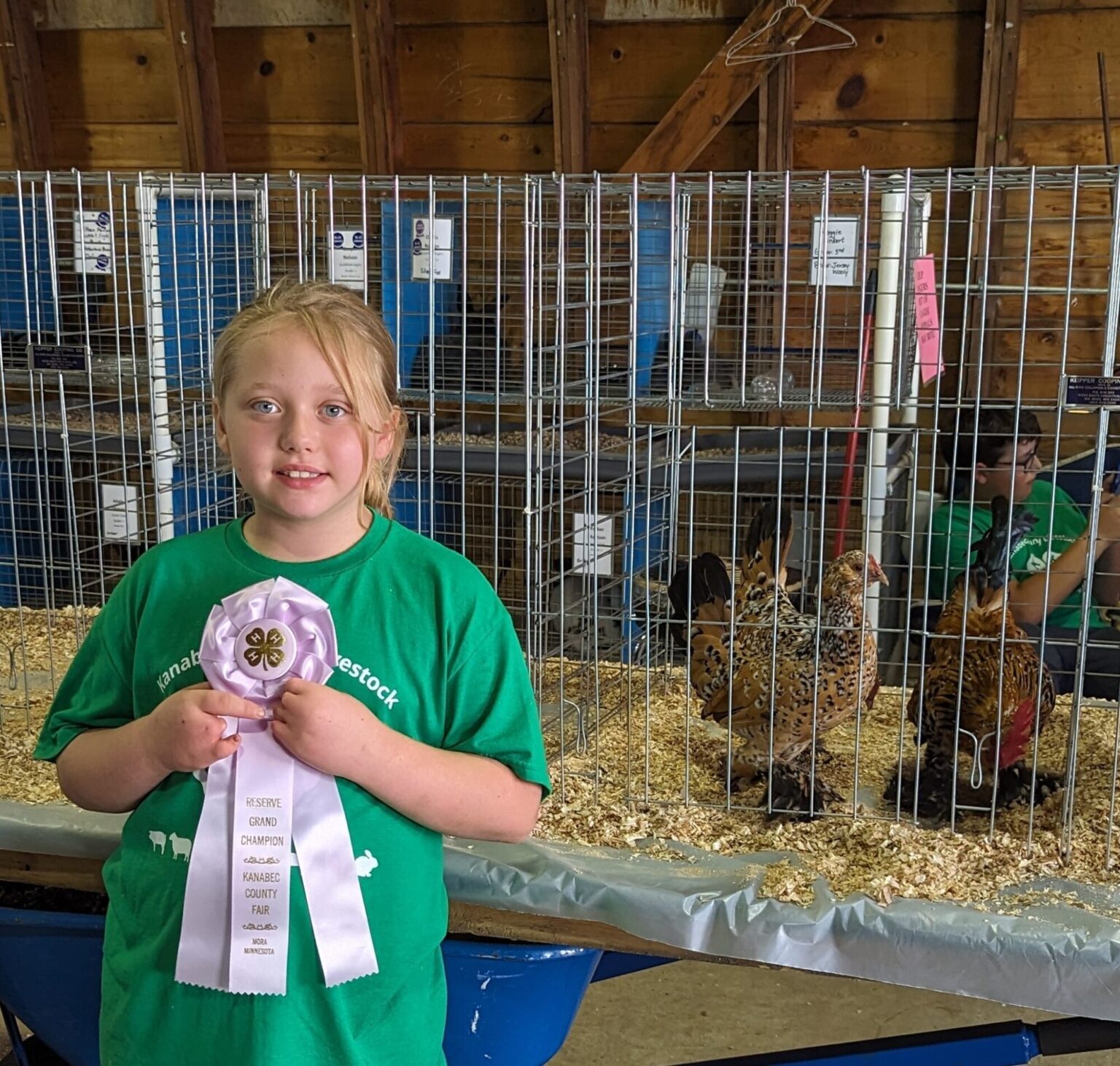 Mille Fleur d’Uccle Bantam Chicks | True Bantam Show Birds