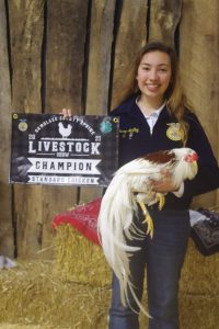 Red Shoulder Yokohama Chickens | Cackle Hatchery®