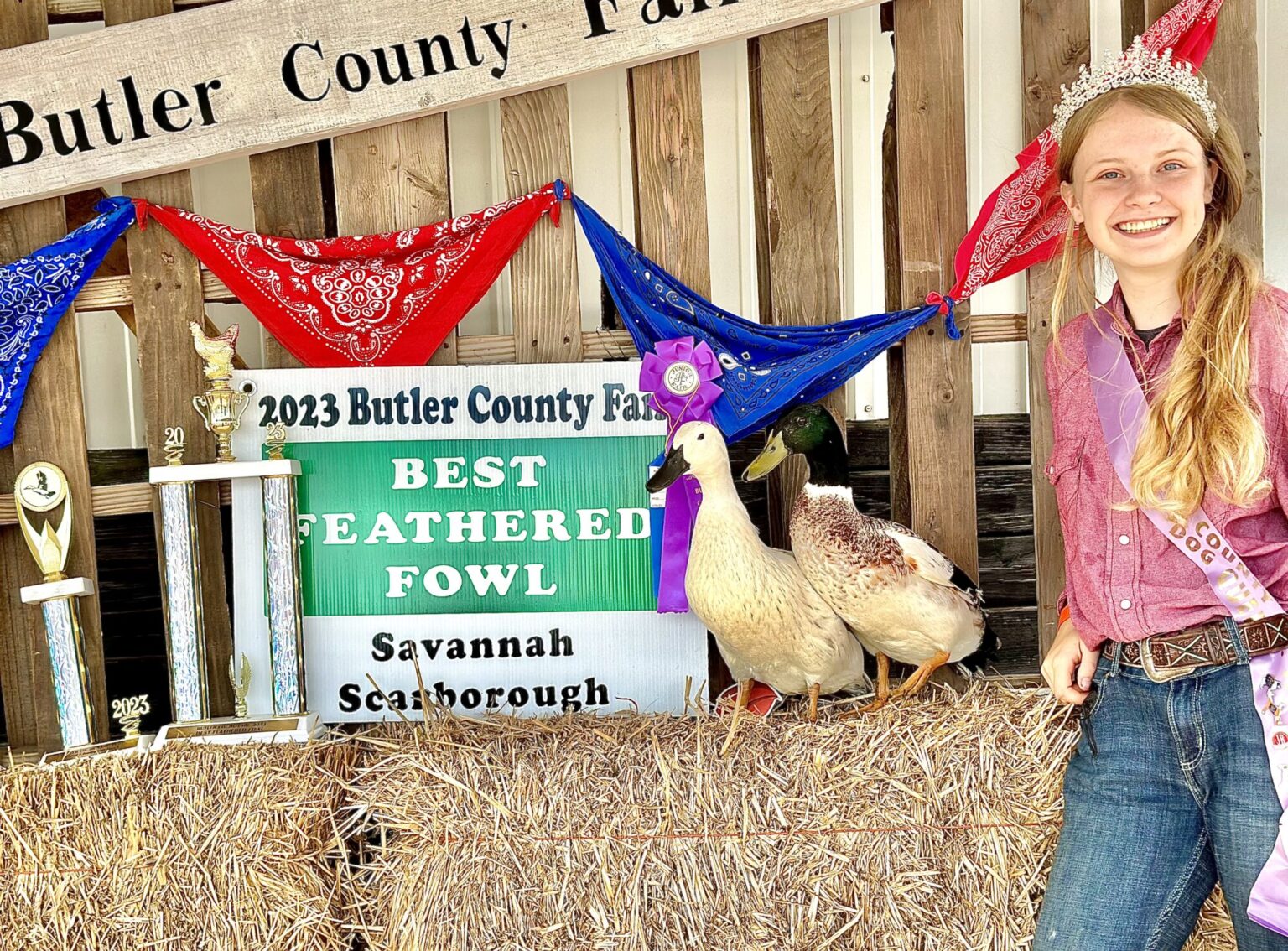 Welsh Harlequin Ducks - Waterfowl Hatchery | Cackle Hatchery®