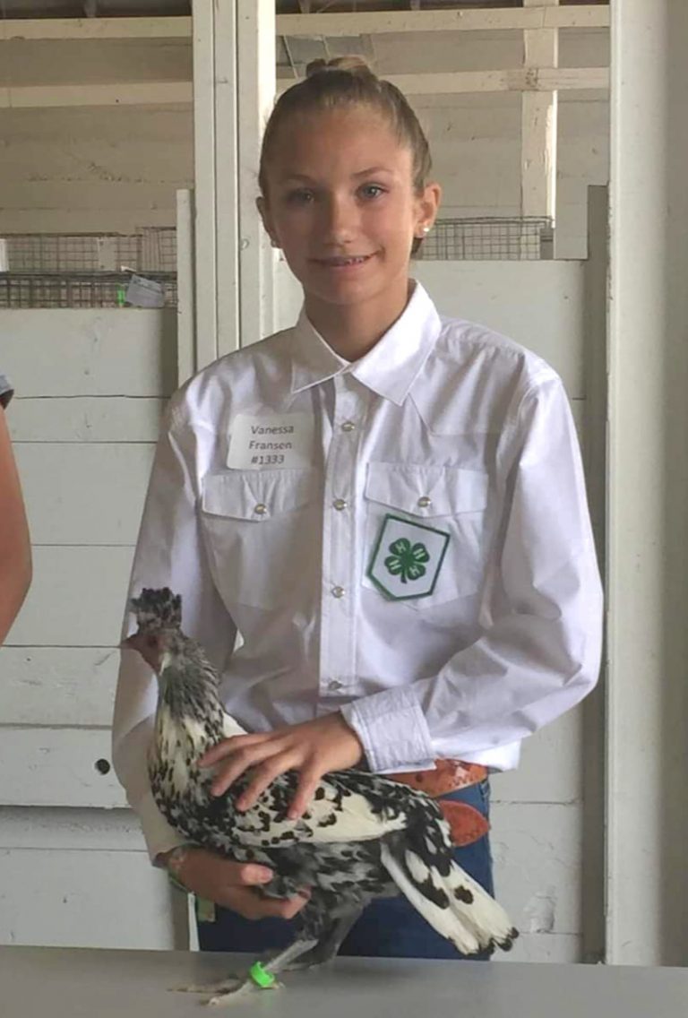 Silver Spangled Appenzeller Spitzhauben Chickens | Cackle Hatchery®