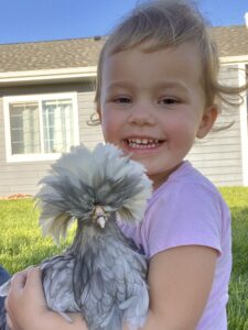 White Crested Blue Polish Chicken for Sale - White Egg Layers | Cackle ...