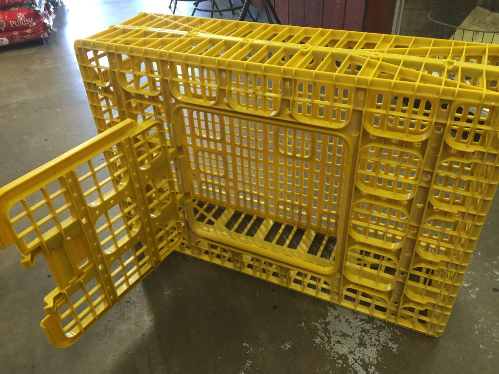 Yellow Transport Crate/Coop | Cackle Hatchery®