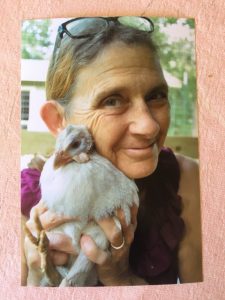 Lavender Guinea Fowl - Guinea Keets for Sale | Cackle Hatchery®