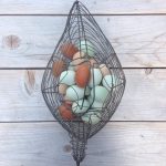 Rainbow Assorted Pullets - Bargain Specials | Cackle Hatchery®