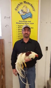 Red Shoulder Yokohama Chickens | Cackle Hatchery®