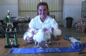 Jumbo Cornish Cross Broiler Meat Chicken For Sale | Cackle Hatchery®