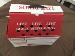 Horizon Micro-Environments Grown Fowl Shipping Boxes | Cackle Hatchery®