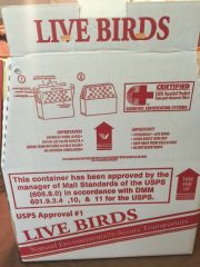 Horizon Micro-Environments Grown Fowl Shipping Boxes | Cackle Hatchery®