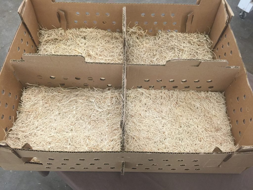 100 Size Shipping Box For Chickens 50 Pack | Cackle Hatchery®