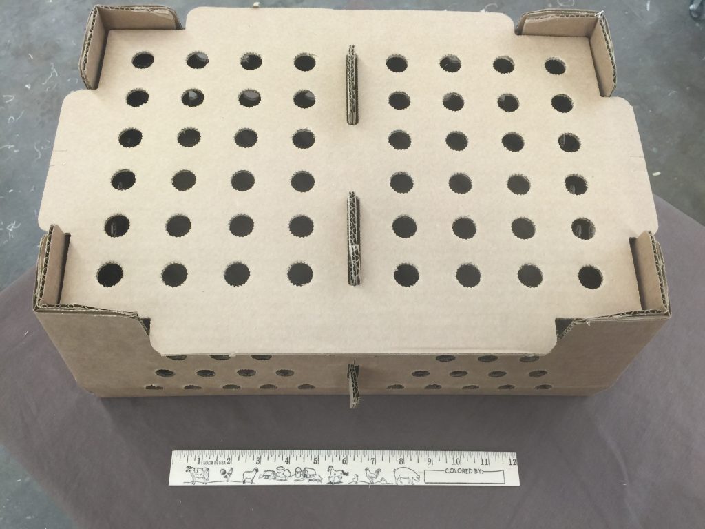 50 Size Shipping Box 50 Pack For Chickens | Cackle Hatchery®