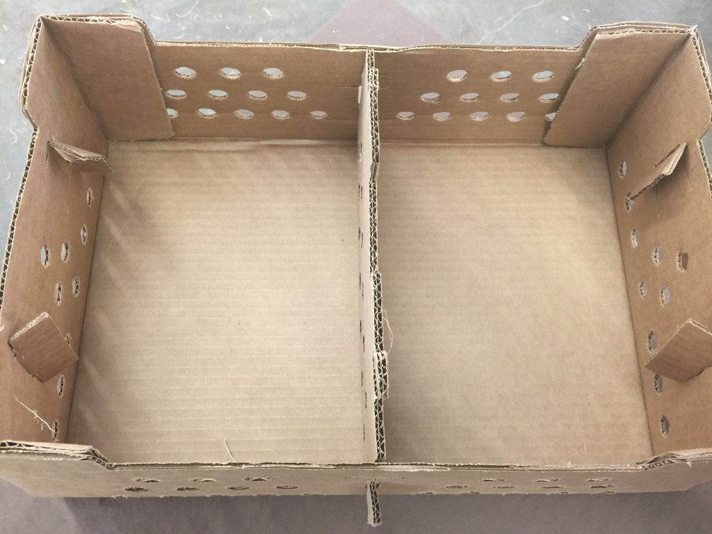 50 Size Shipping Box 50 Pack For Chickens | Cackle Hatchery®