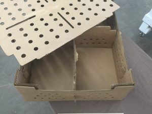 100 Size Shipping Box For Chickens 50 Pack | Cackle Hatchery®