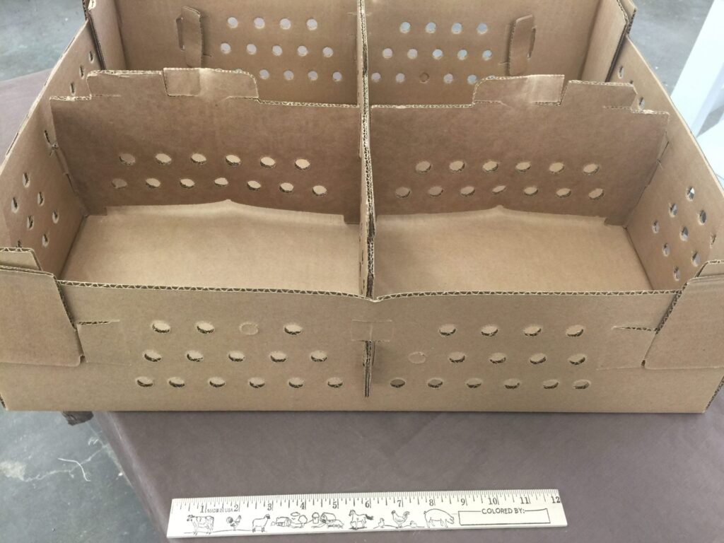 100 Size Shipping Box For Chickens 50 Pack | Cackle Hatchery®