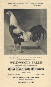 Silver Duckwing Old English Chickens | Cackle Hatchery®