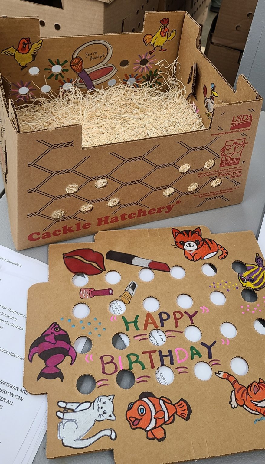 Decorated Baby Chick Box | Cackle Hatchery®