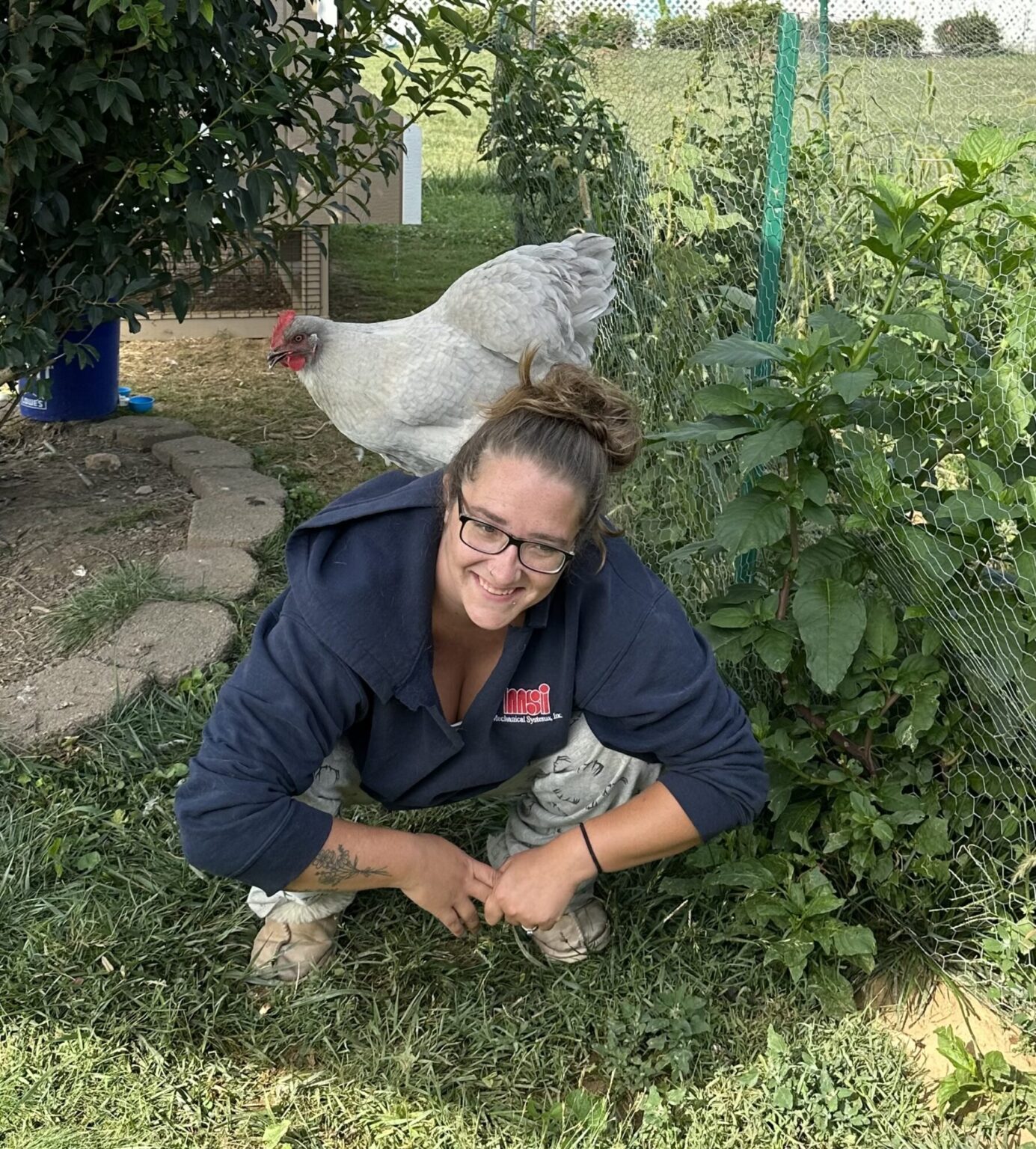 Lavender Orpington Chicken For Sale | Cackle Hatchery®