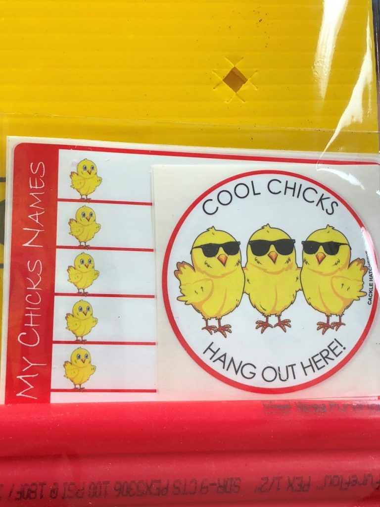 Roost Boost | Cackle Hatchery®