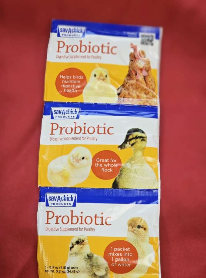 Sav-a-Chick Probiotic (3-Pack) | Cackle Hatchery®