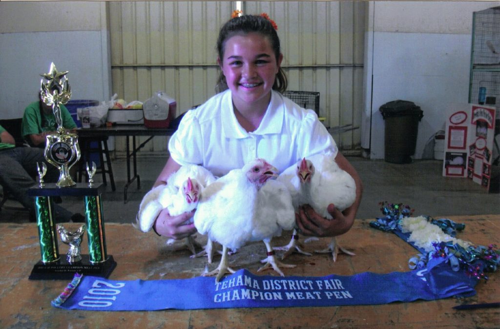 2010 Cackle Hatchery Photo Contest Winners and Runner Ups - Cackle Hatchery