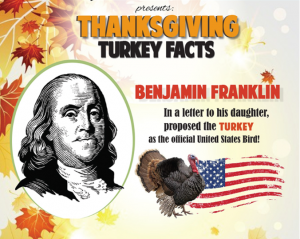 Thanksgiving Turkey Facts [Infographic] - Cackle Hatchery