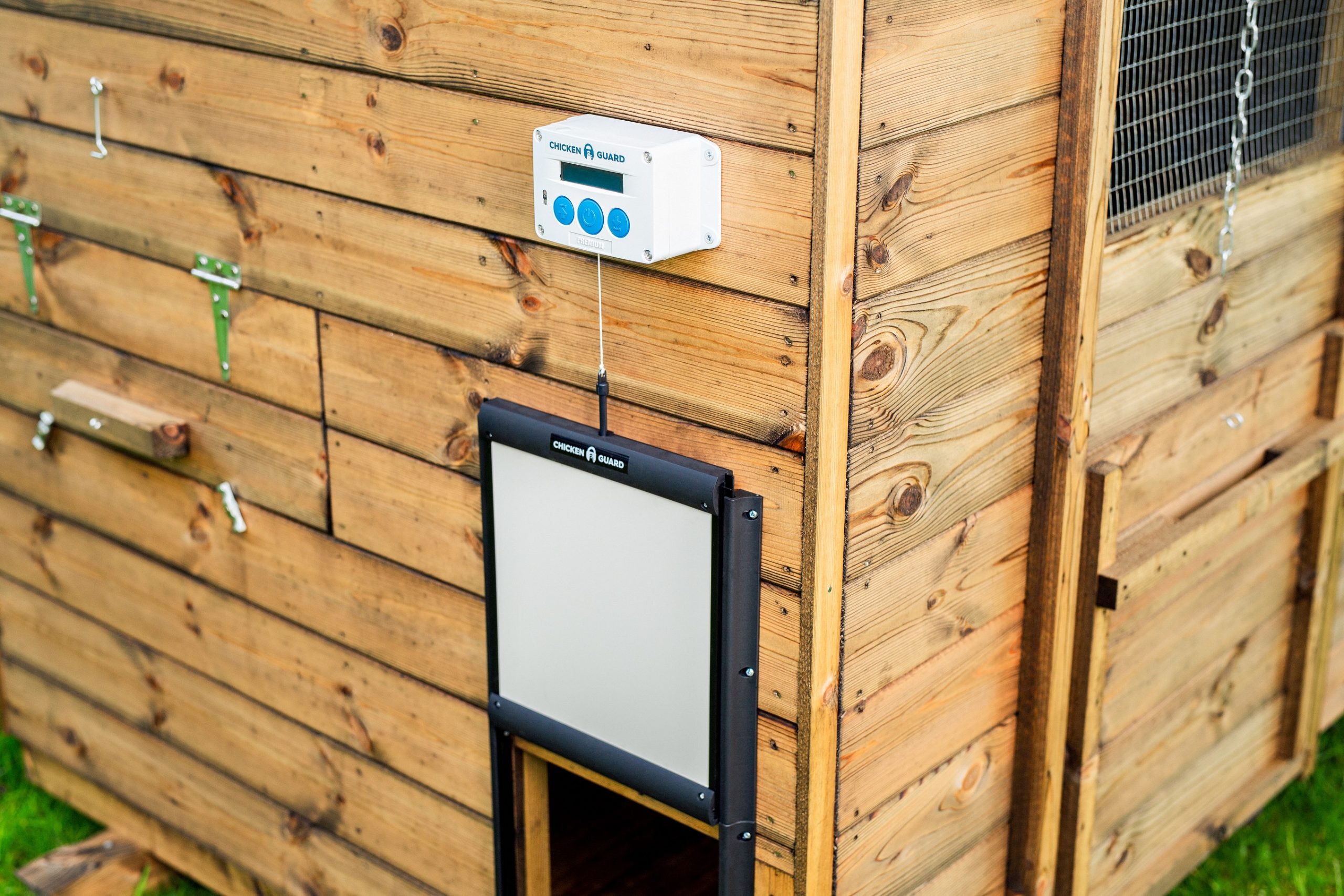 Chicken Guard - Cackle Hatchery