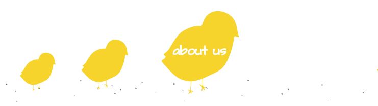 Baby Chick Care Instructions from Cackle Hatchery