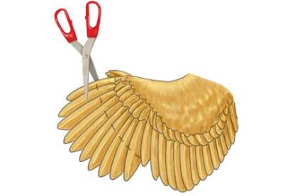 How to Clip a Chicken’s Wing Feathers - Cackle Hatchery