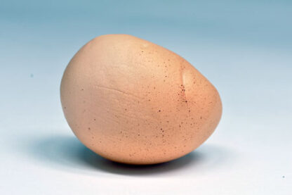 Why Chickens Lay Eggs with Abnormal Shells - Cackle Hatchery