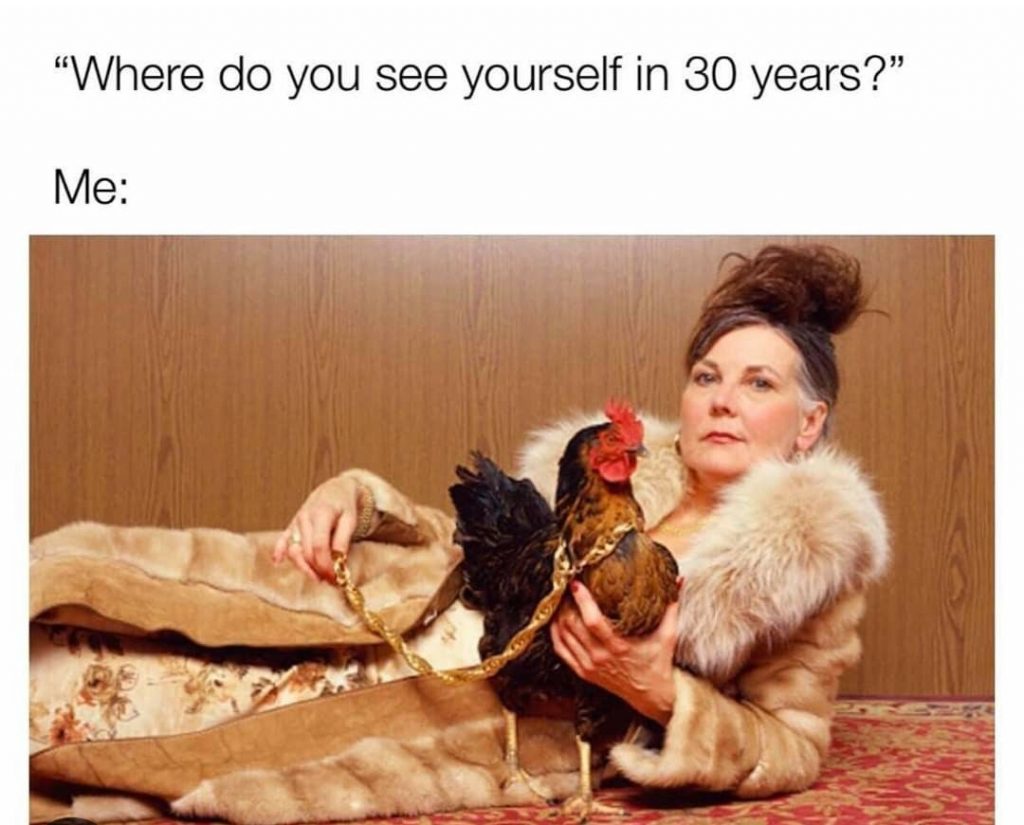 Crazy Chicken Lady Starter Kit | Baby Chick Starter Kit - Cackle Hatchery