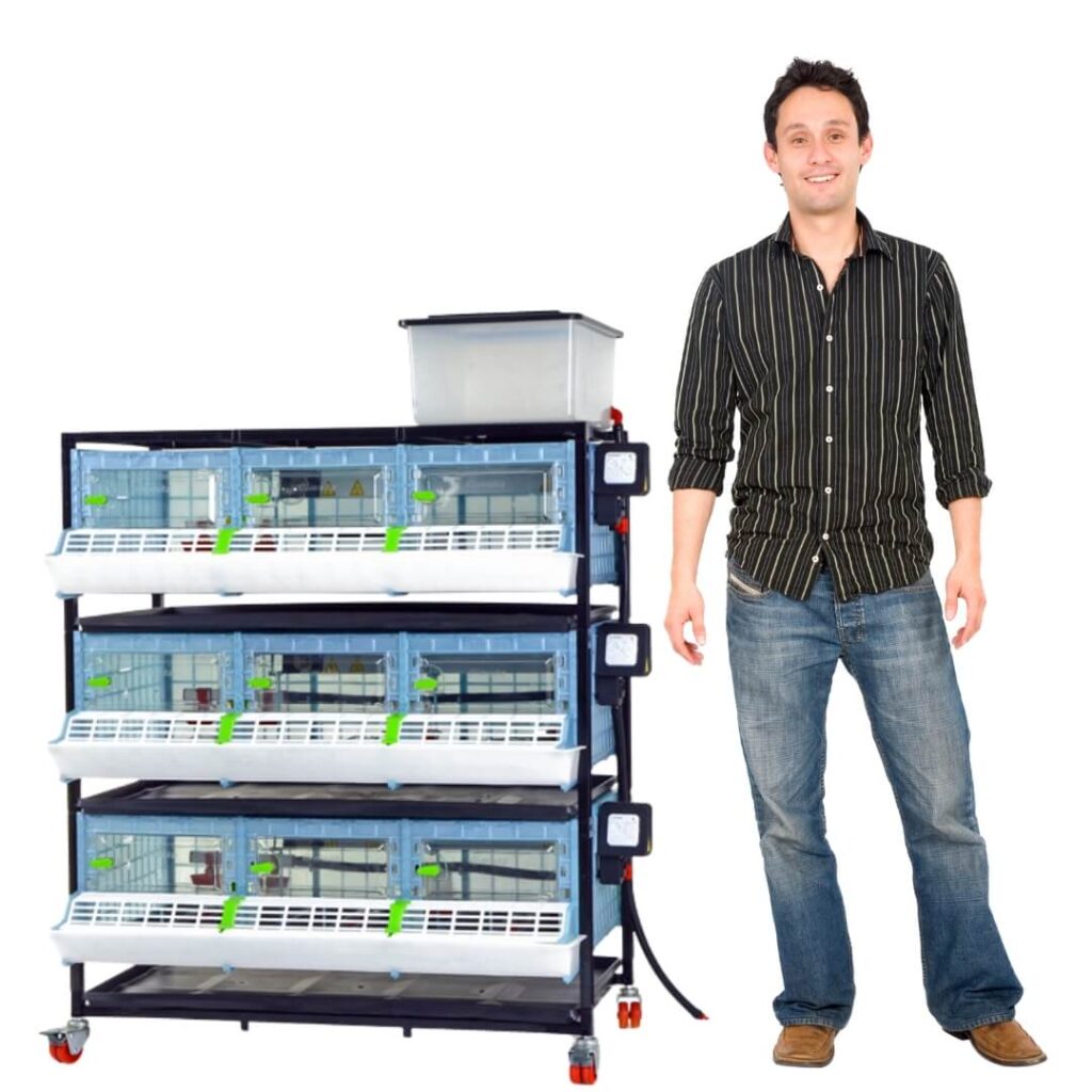 Brooder Equipment : Poultry Supplies | Cackle Hatchery